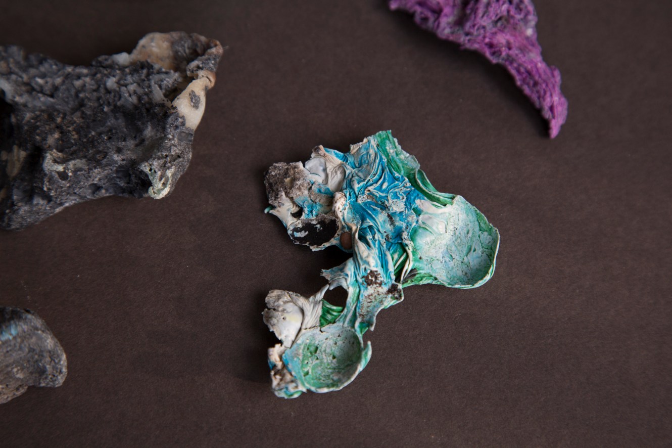 Plastiglomerate, the fossil of the present. – wasted talent