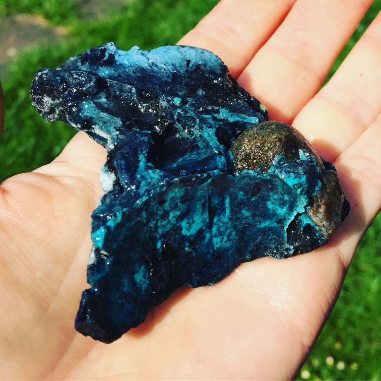 Plastiglomerate, the fossil of the present. – wasted talent