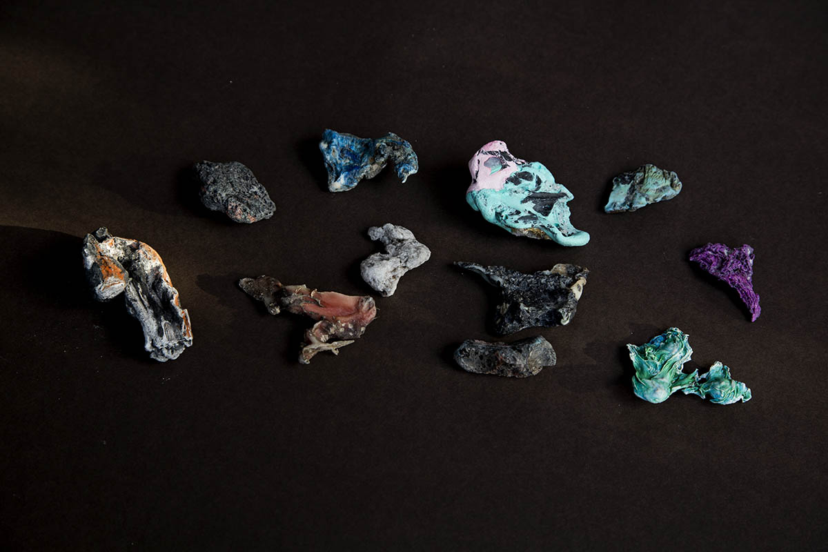 Plastiglomerate, the fossil of the present. – wasted talent