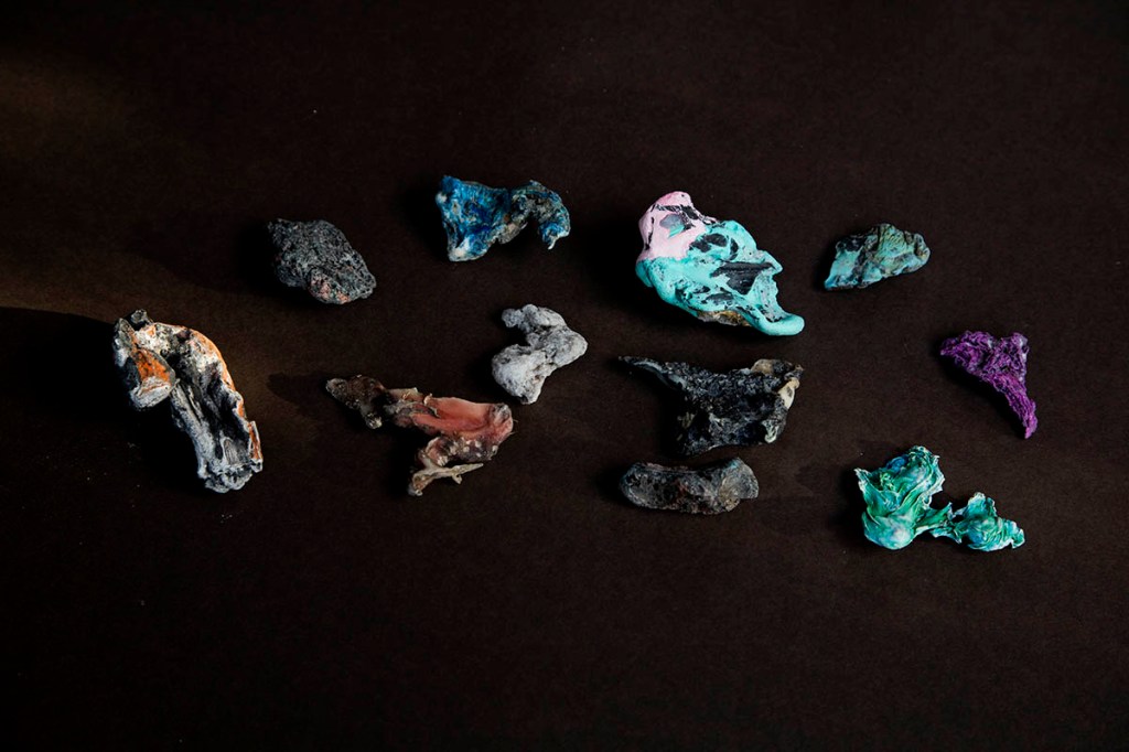 Plastiglomerate, the fossil of the present. – wasted talent